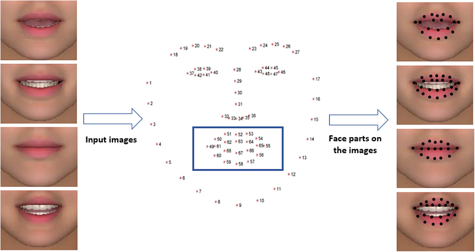 HLR Net A Hybrid Lip Reading Model Based On Deep Convolutional Neural