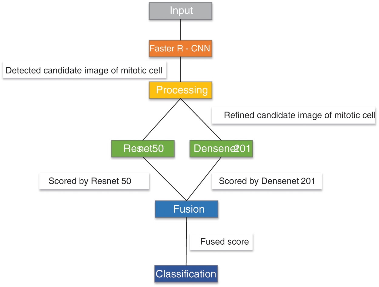 CMES | Free Full-Text | A Survey of Convolutional Neural Network in ...
