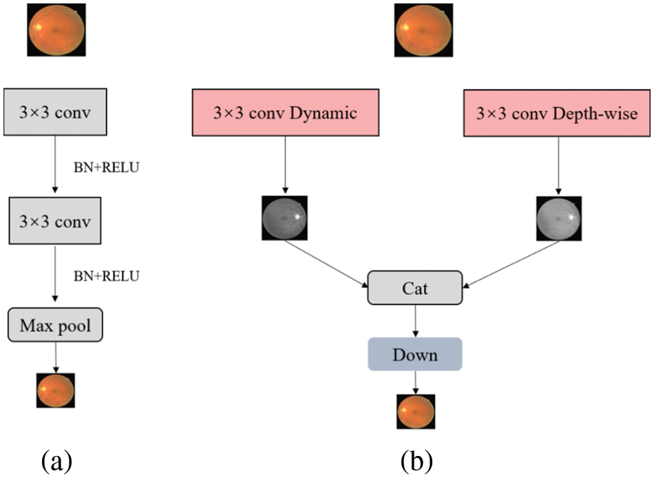 CMES | Free Full-Text | Dual-Branch-UNet: A Dual-Branch Convolutional Neural Network for Medical ...