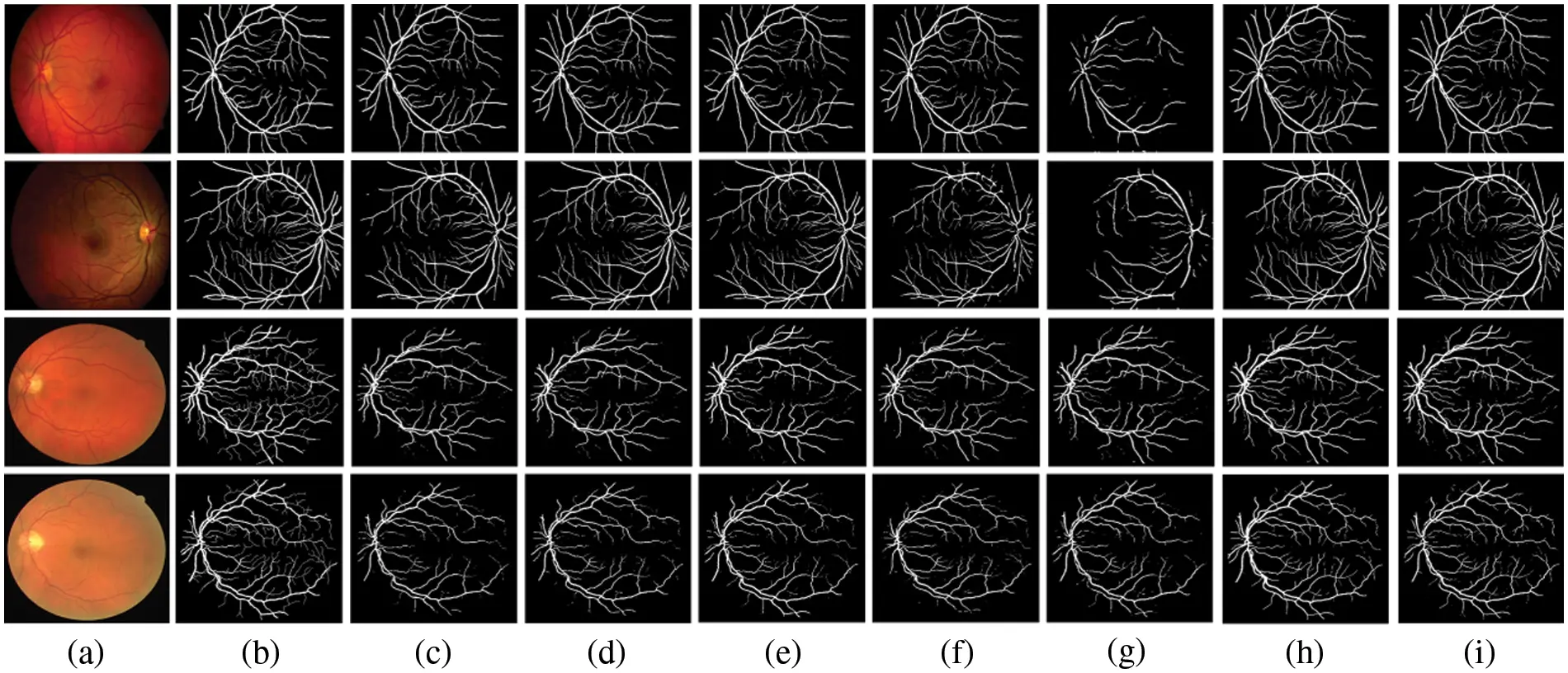 CMES | Free Full-Text | Dual-Branch-UNet: A Dual-Branch Convolutional Neural Network for Medical ...