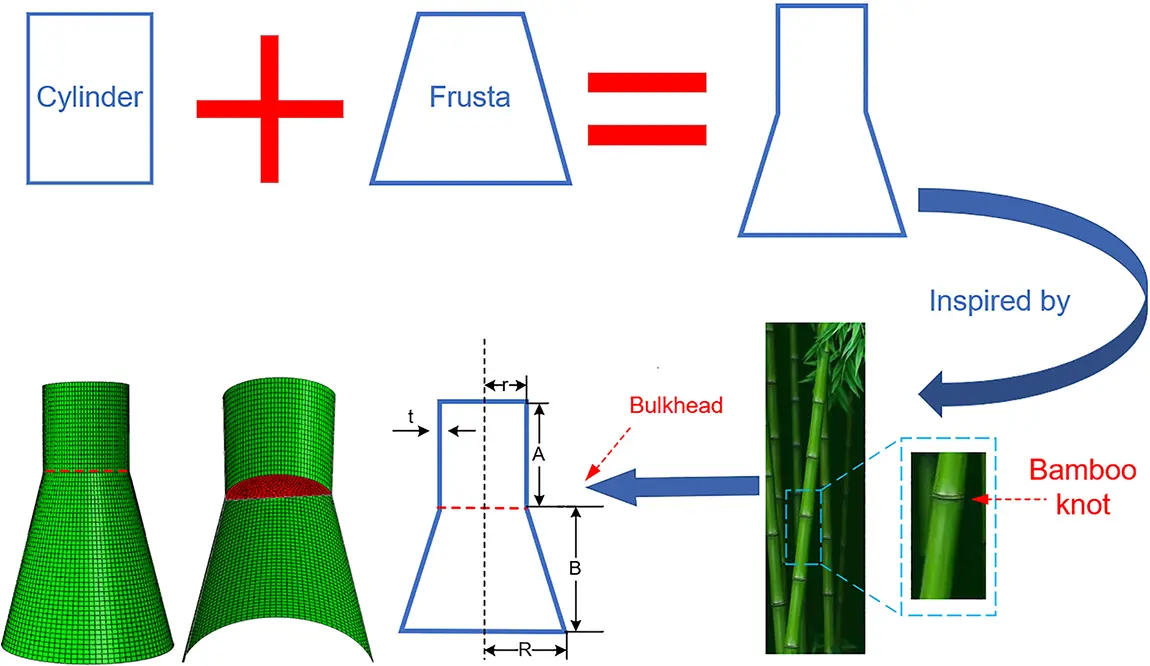 CMES | Free Full-Text | Crashworthiness Design and Multi-Objective Optimization of Bionic Thin ...
