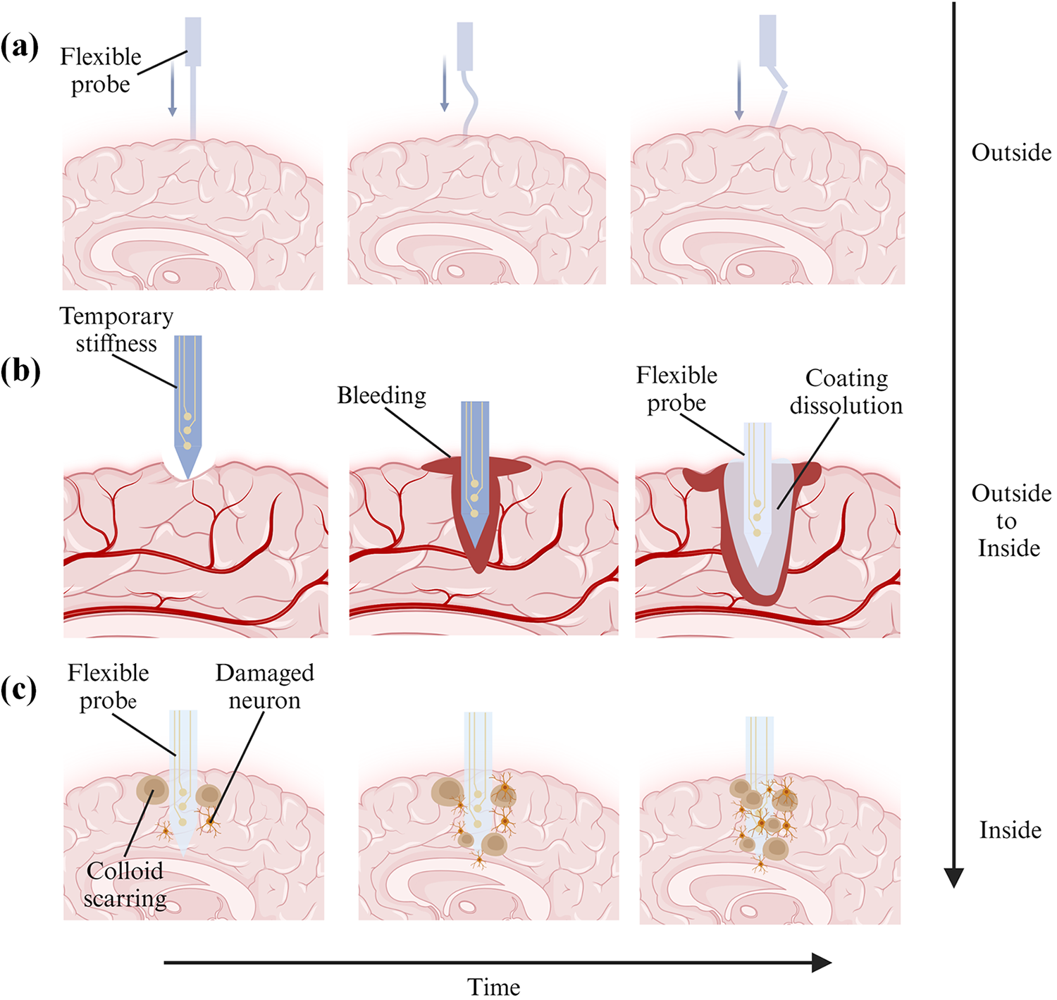 CMES | Free Full-Text | Progress in Mechanical Modeling of Implantable Flexible Neural Probes