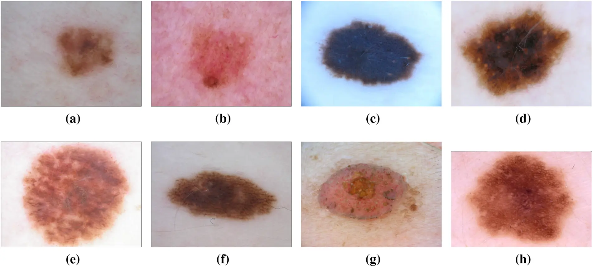 CMES | Free Full-Text | A Comprehensive Systematic Review: Advancements ...