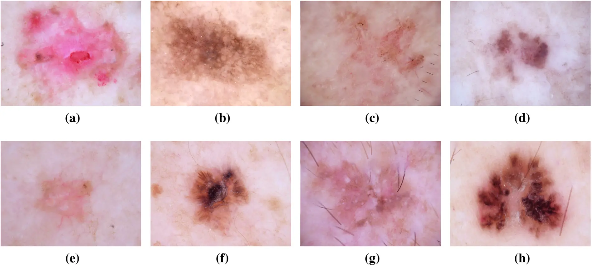CMES | Free Full-Text | A Comprehensive Systematic Review: Advancements ...