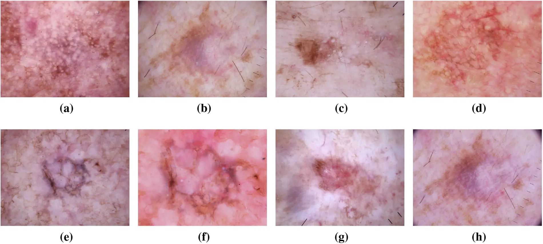 CMES | Free Full-Text | A Comprehensive Systematic Review: Advancements ...