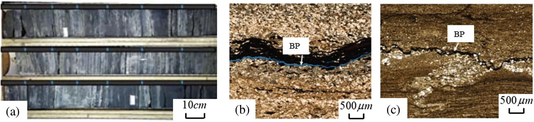 CMES | Free Full-Text | Influence of High-Density Bedding Plane ...