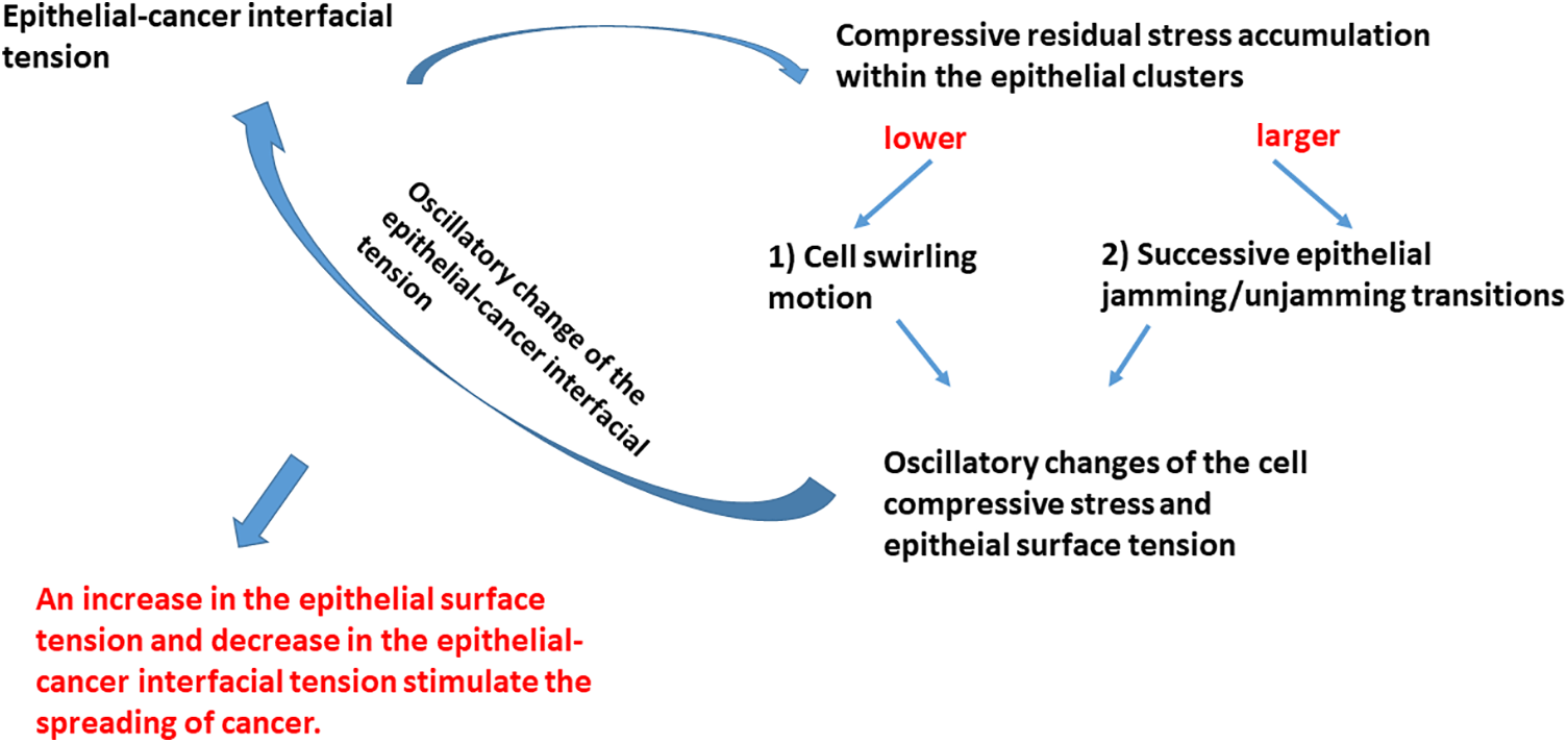BIOCELL | Free Full-Text | Dynamics along the epithelial-cancer ...