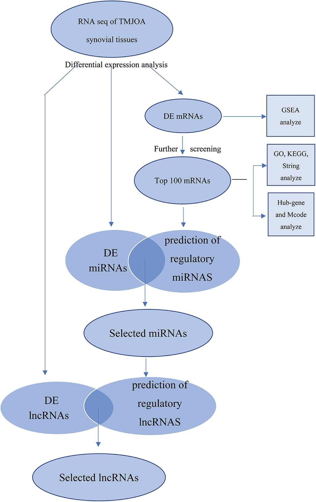 BIOCELL | Free Full-Text | Bioinformatic analysis of lncRNA-associated ...