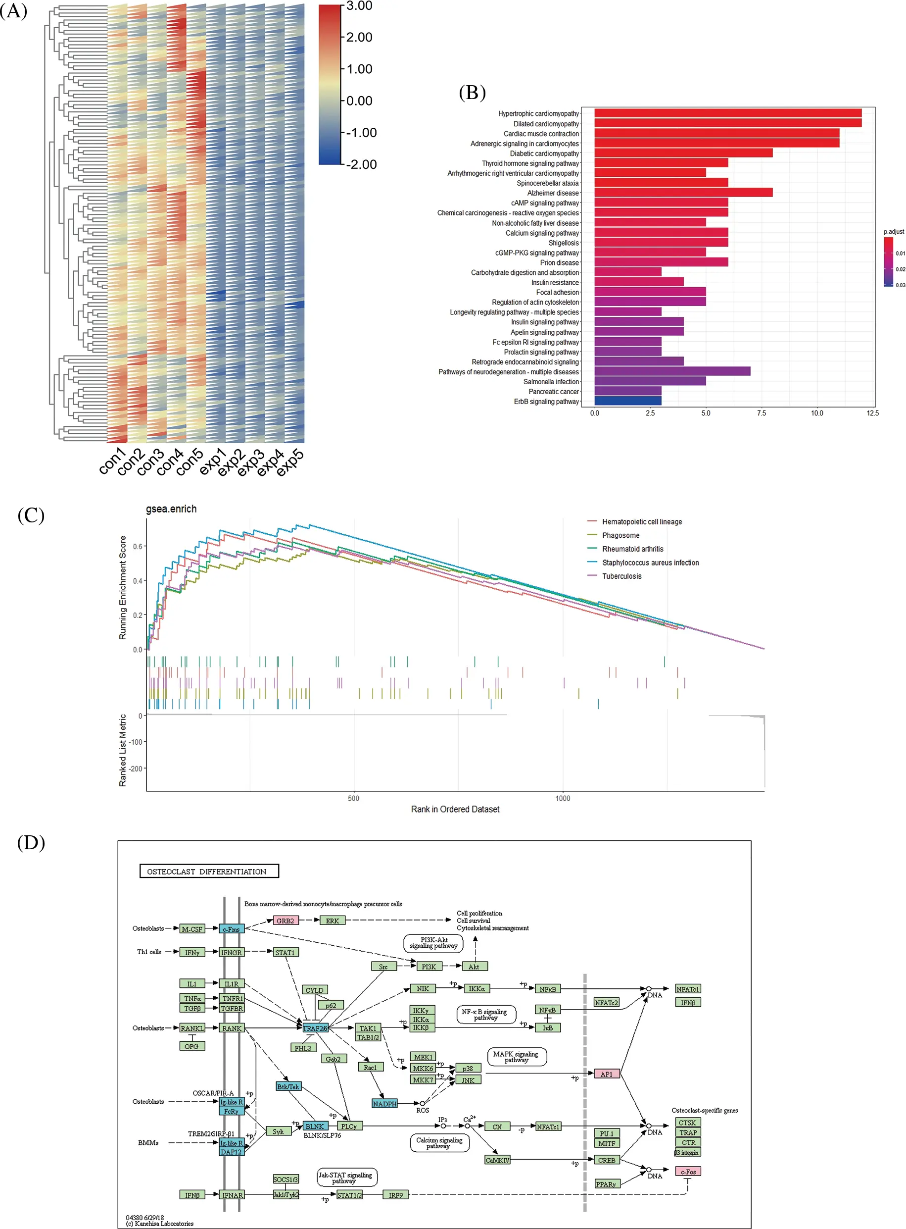 BIOCELL | Free Full-Text | Bioinformatic analysis of lncRNA-associated ...