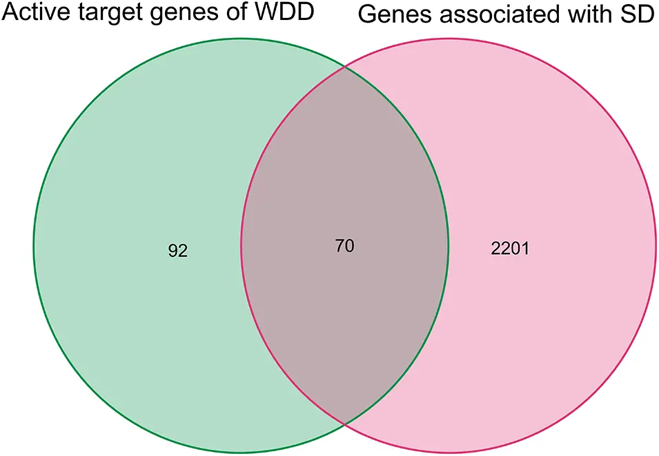 BIOCELL | Free Full-Text | Initial steps on the analysis of the ...