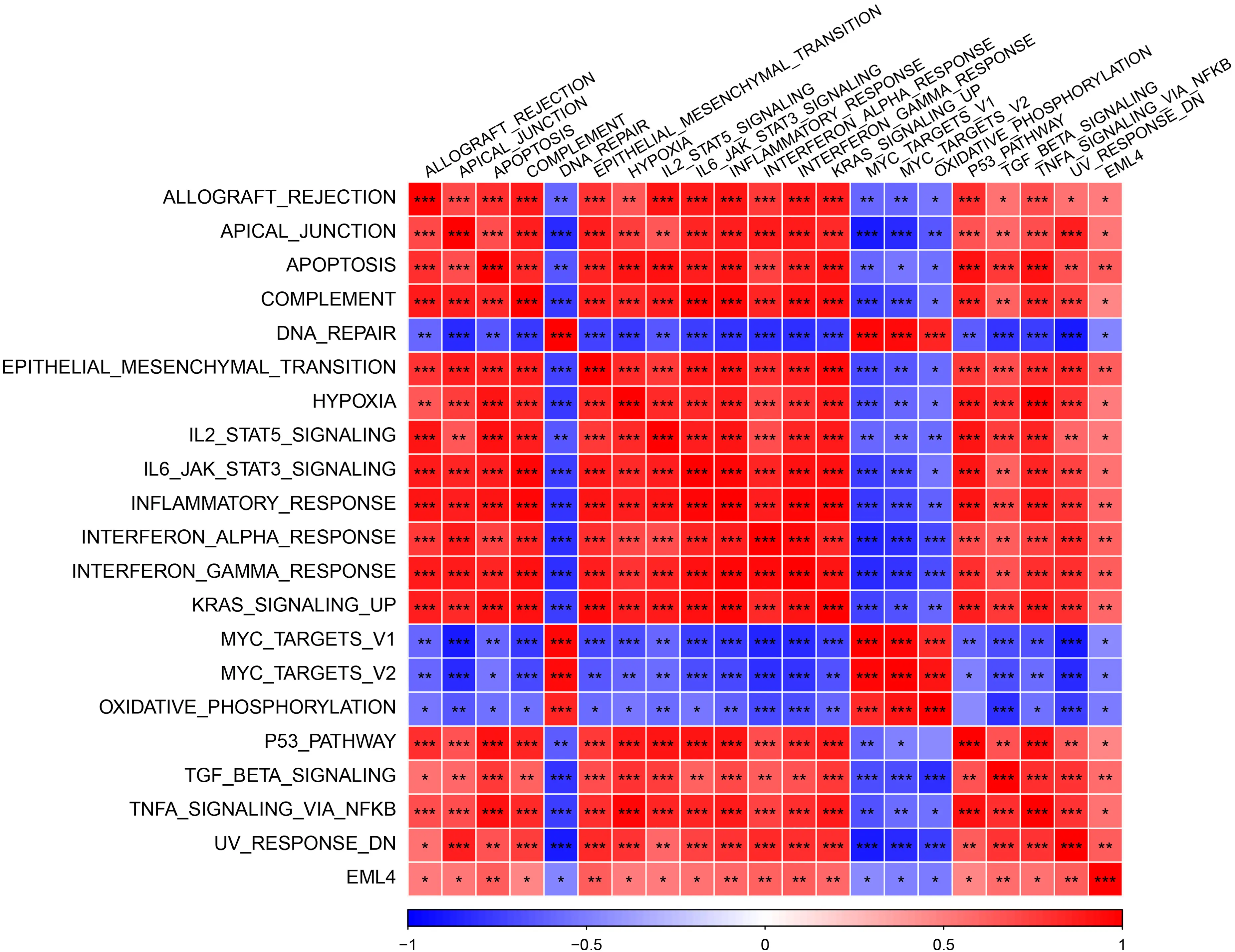 BIOCELL | Free Full-Text | Identification of EML4 as a key hub gene for ...
