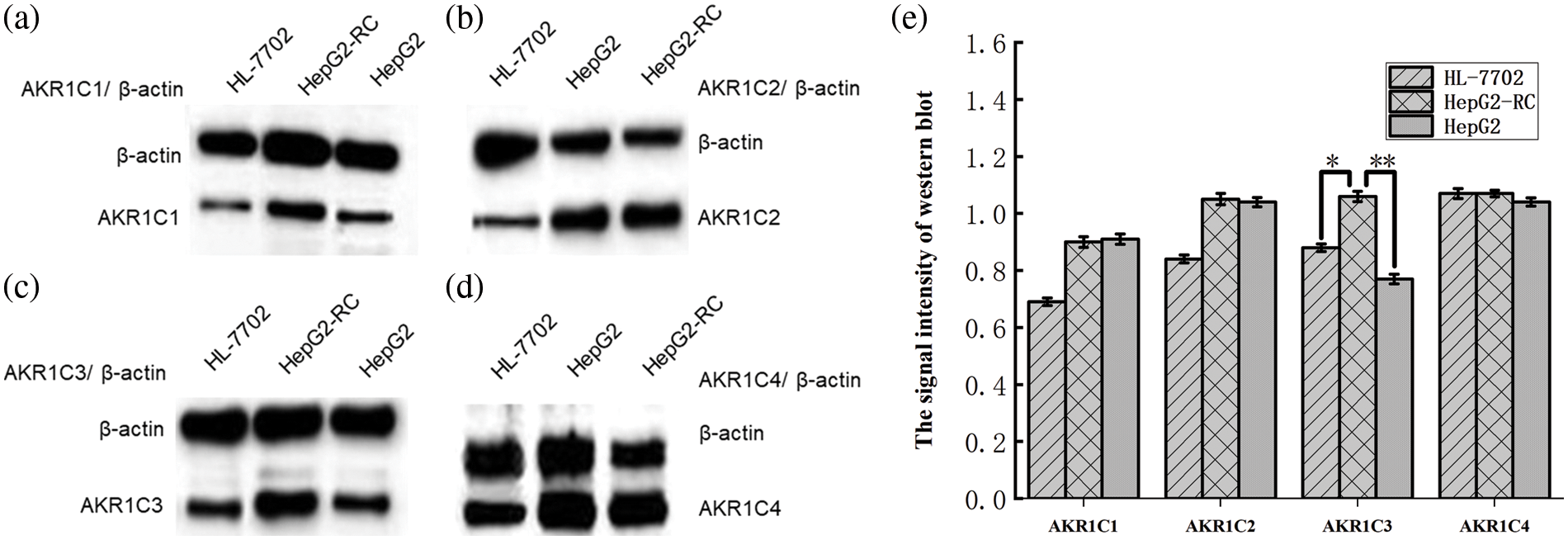 BIOCELL | Free Full-Text | Analysis of the mechanism of aldo-keto ...