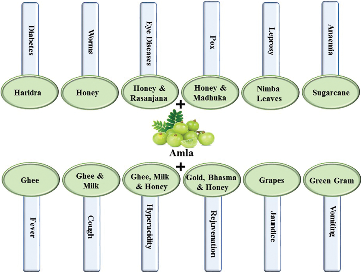 BIOCELL | Free Full-Text | Phytochemistry and ethnomedicinal qualities ...