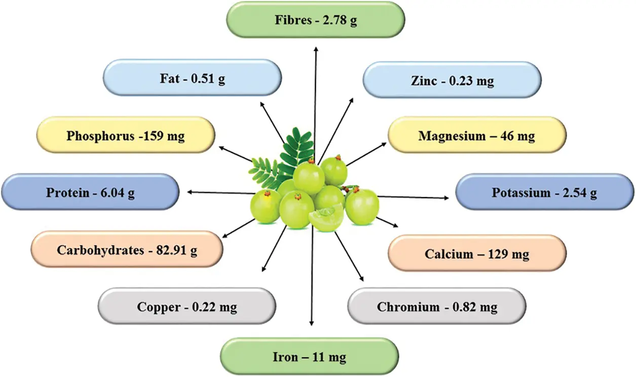 BIOCELL | Free Full-Text | Phytochemistry and ethnomedicinal qualities ...