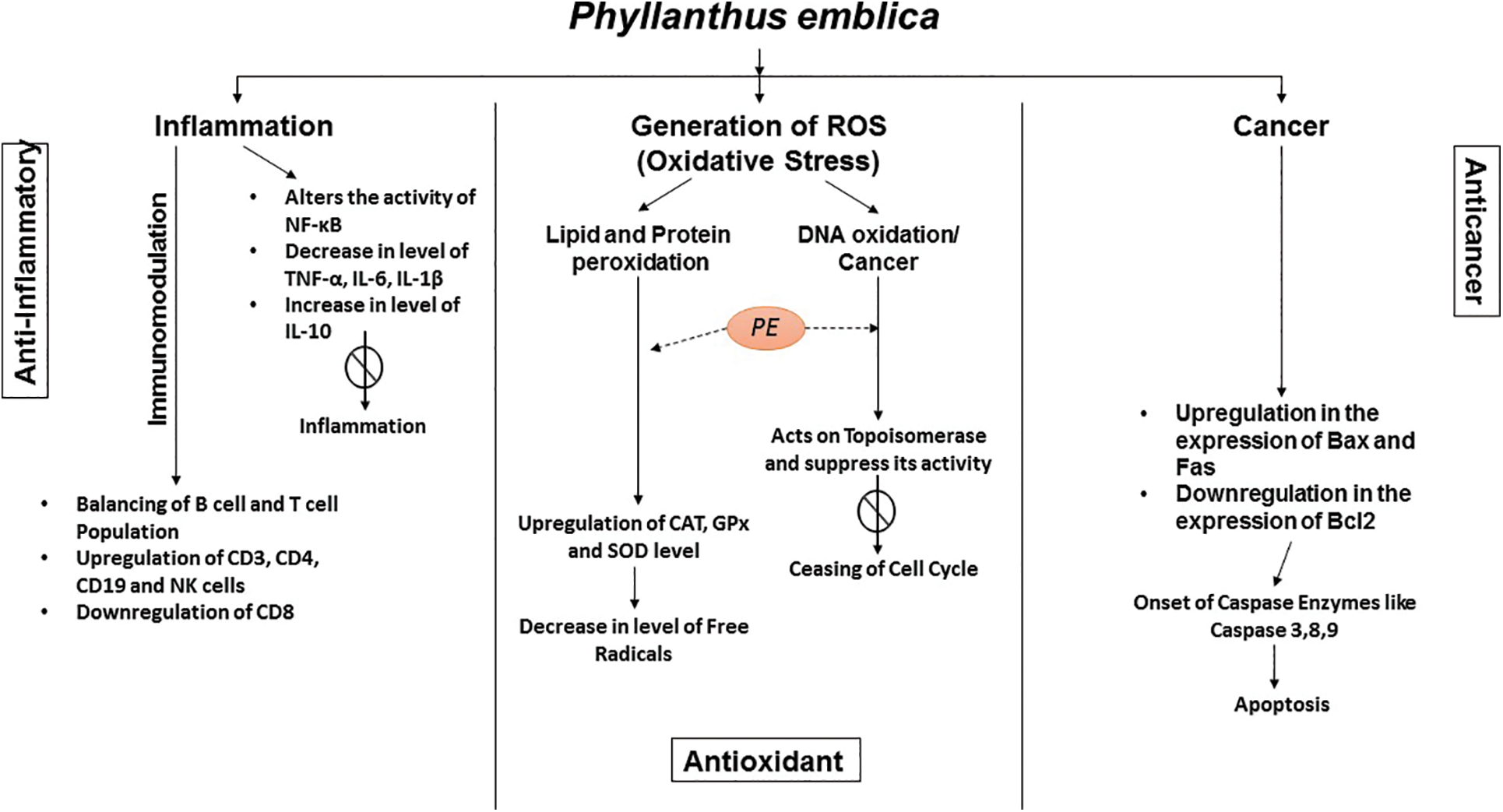 BIOCELL | Free Full-Text | Phytochemistry and ethnomedicinal qualities ...
