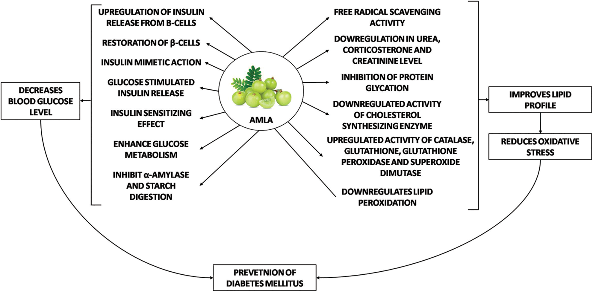 BIOCELL | Free Full-Text | Phytochemistry and ethnomedicinal qualities ...