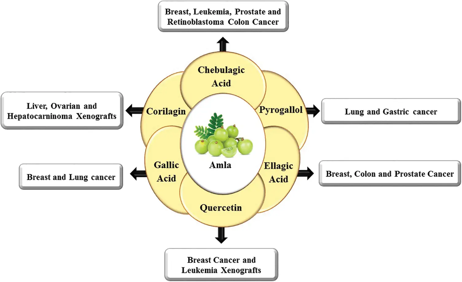 BIOCELL | Free Full-Text | Phytochemistry and ethnomedicinal qualities ...