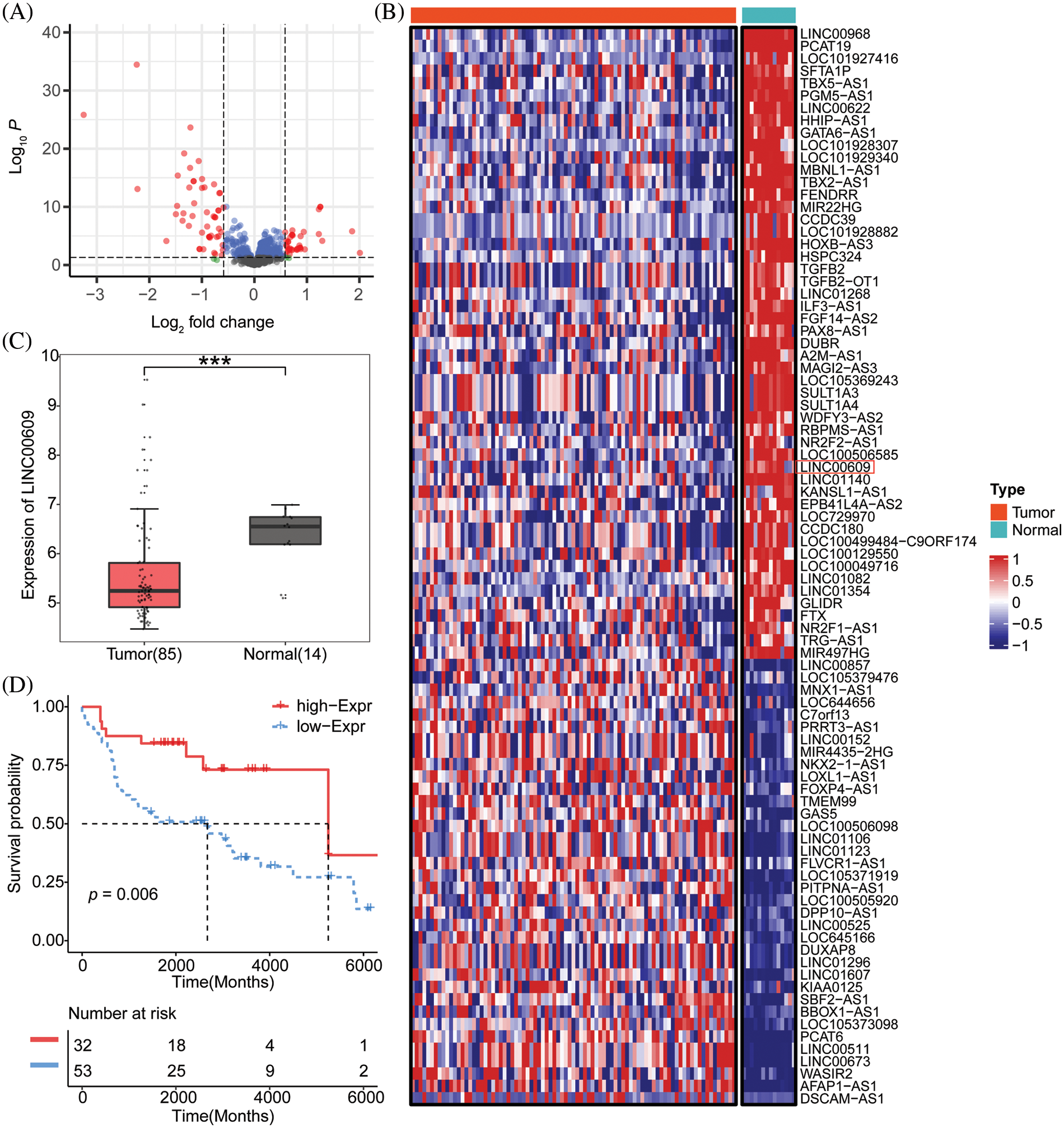 BIOCELL | Free Full-Text | LINC00609 inhibits A549 cells progression ...
