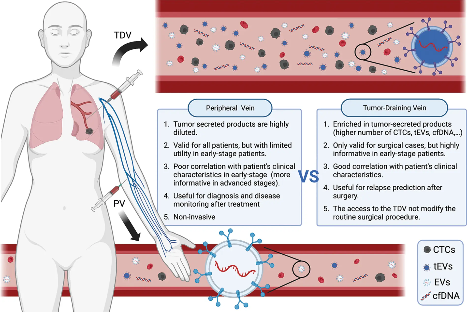 BIOCELL | Free Full-Text | Analysis of tumor-draining vein secretome: A ...
