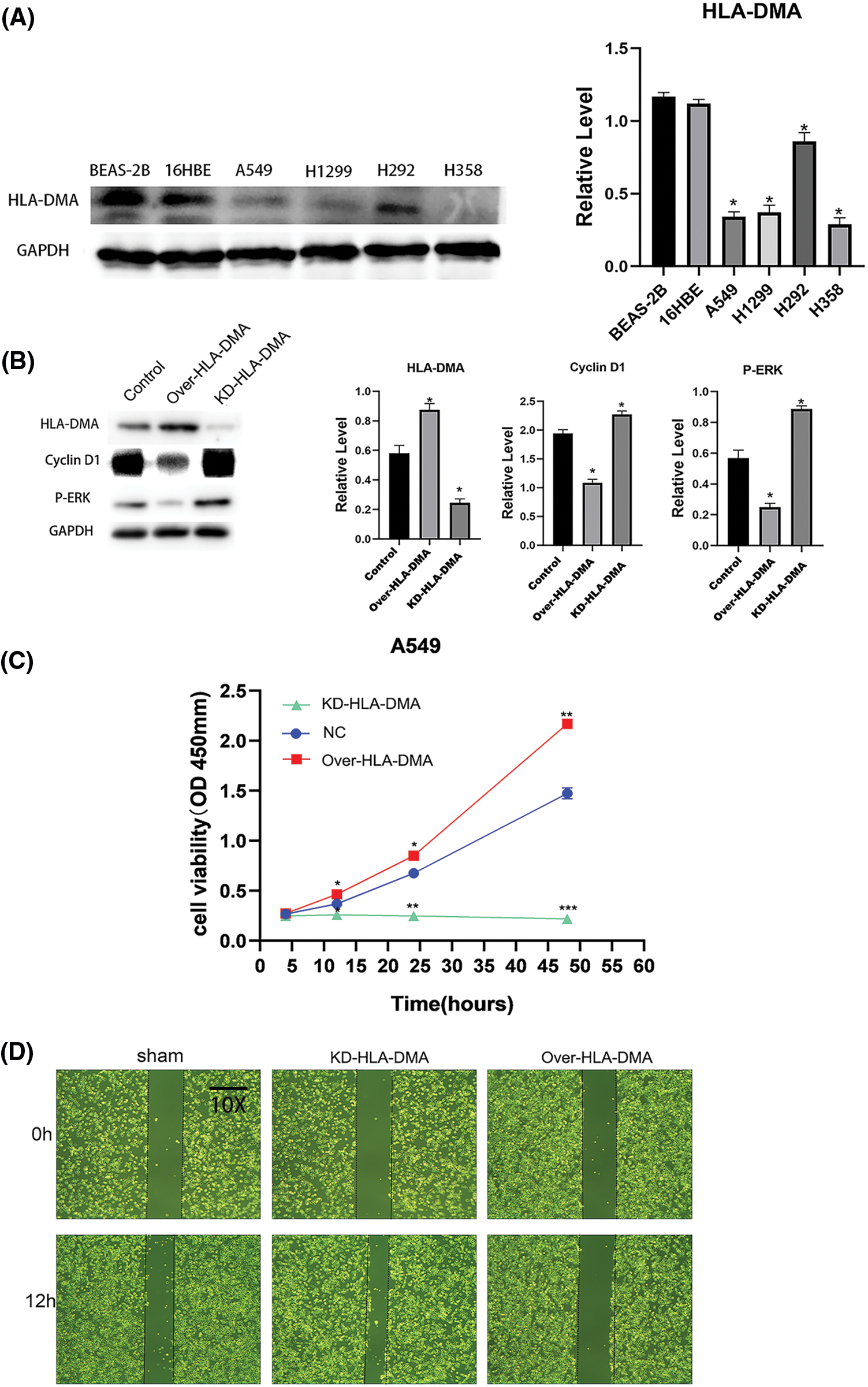 BIOCELL | Free Full-Text | Prognosis and immunological role of HLA-DMA ...