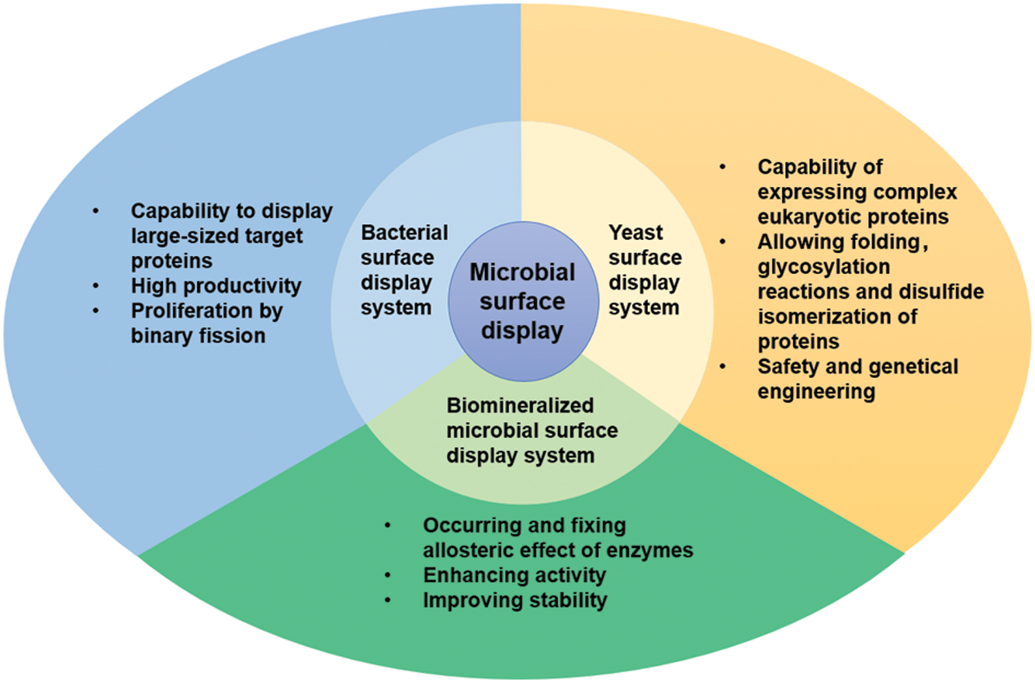 BIOCELL | Free Full-Text | Recent progress in microbial cell surface ...