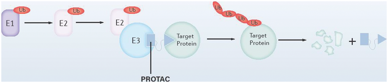 BIOCELL | Free Full-Text | Targeting the “undruggable” cancer driver ...