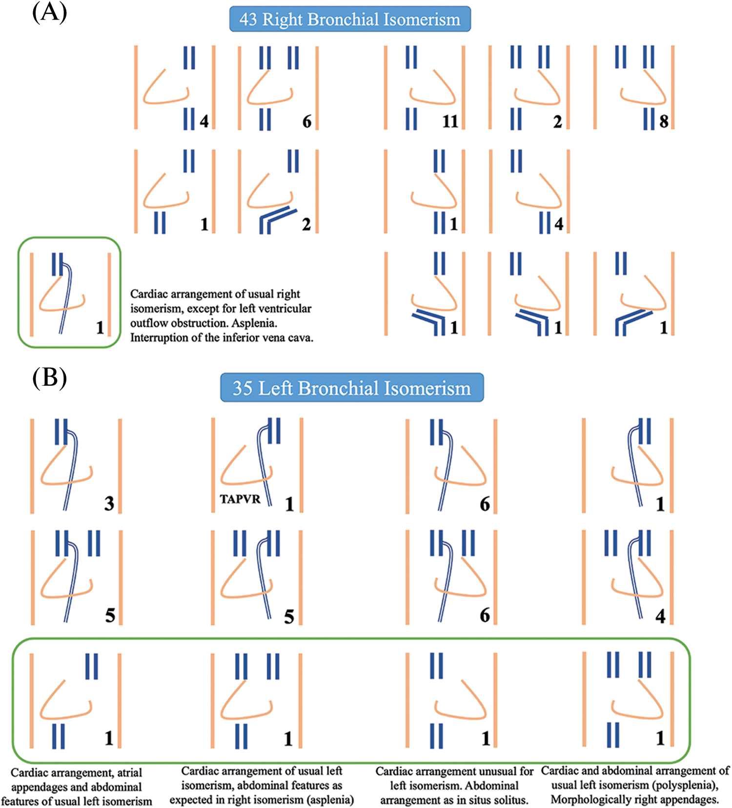 CHD | Free Full-Text | Classifying Cardiac Anomalies in Right and Left ...