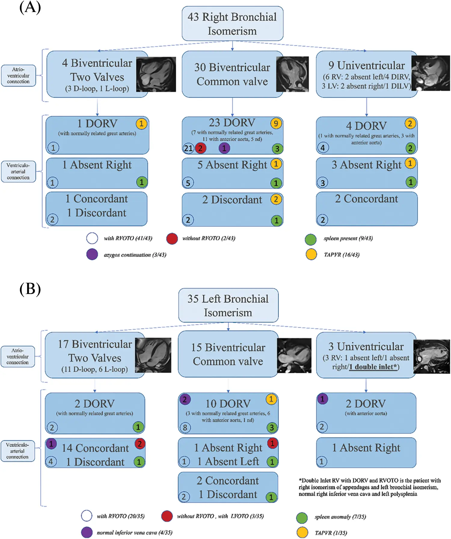 CHD | Free Full-Text | Classifying Cardiac Anomalies in Right and Left ...