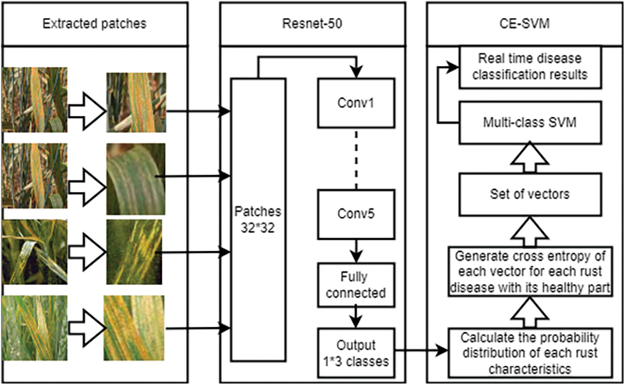 CMC | Free Full-Text | Fusion of Region Extraction and Cross-Entropy ...
