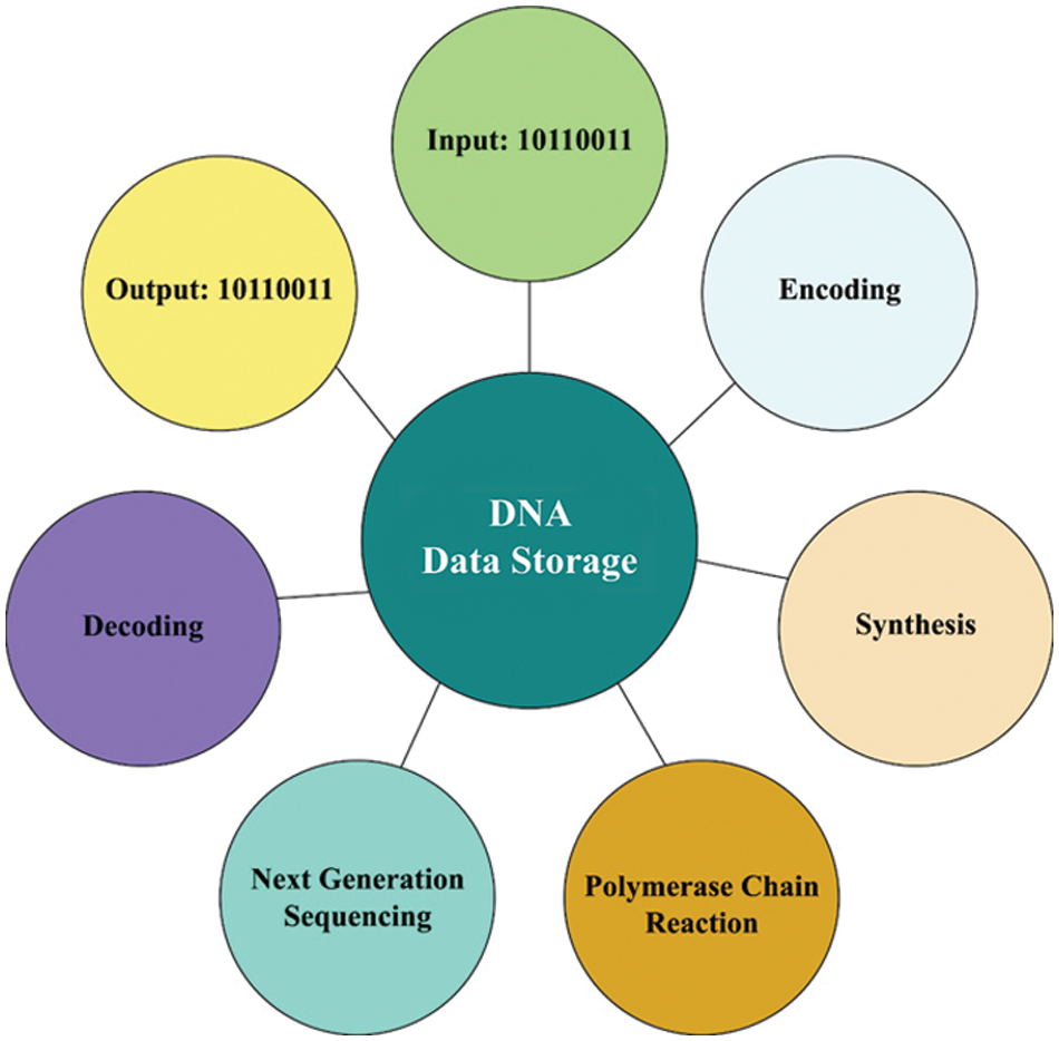 CMC | Free Full-Text | DNA Computing with Water Strider Based Vector ...