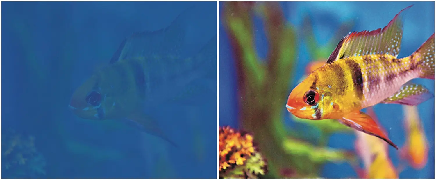 CMC | Free Full-Text | Underwater Image Enhancement Using Customized CLAHE and Adaptive Color ...
