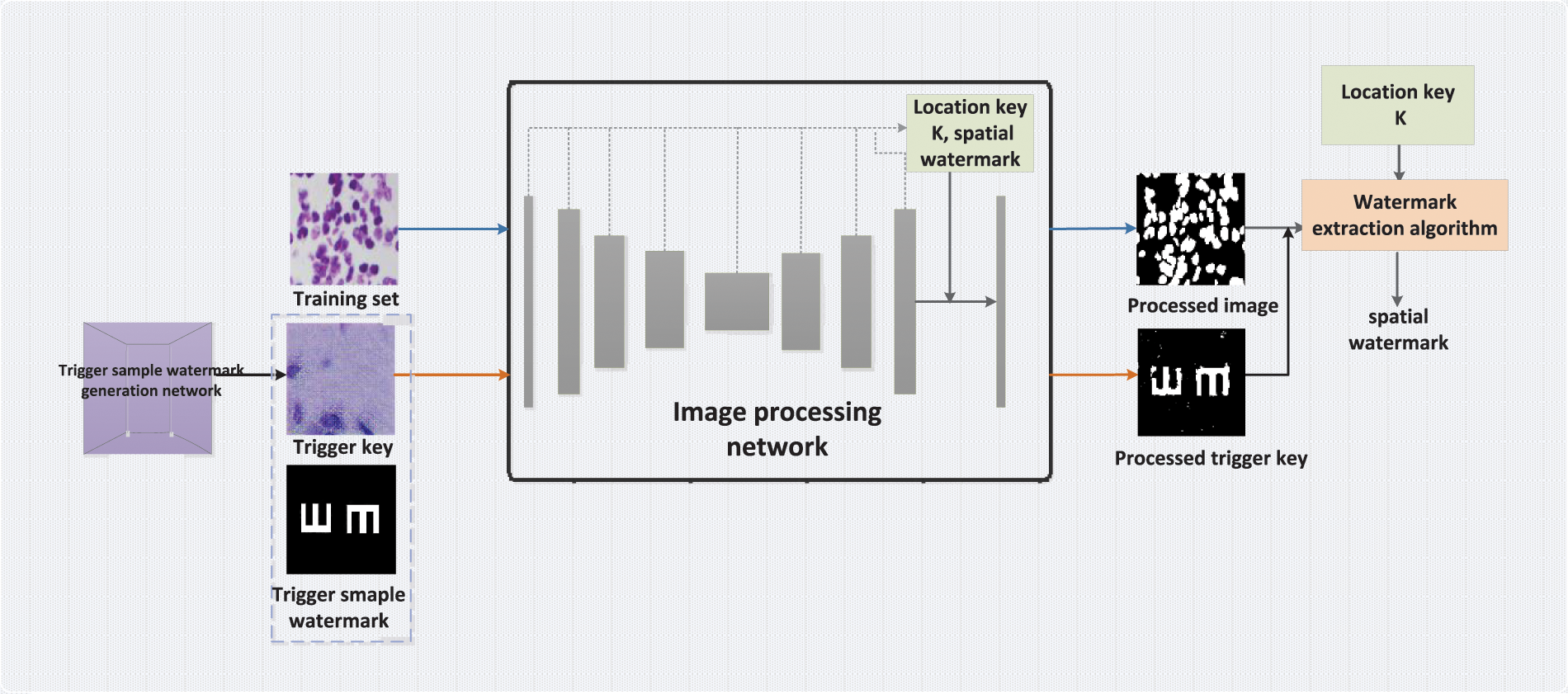 CMC | Free Full-Text | A Dual Model Watermarking Framework for ...
