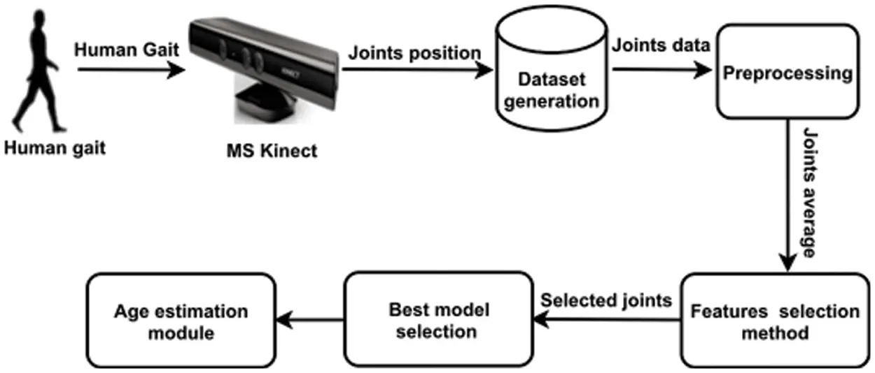 CMC | Free Full-Text | A Three-Dimensional Real-Time Gait-Based Age ...