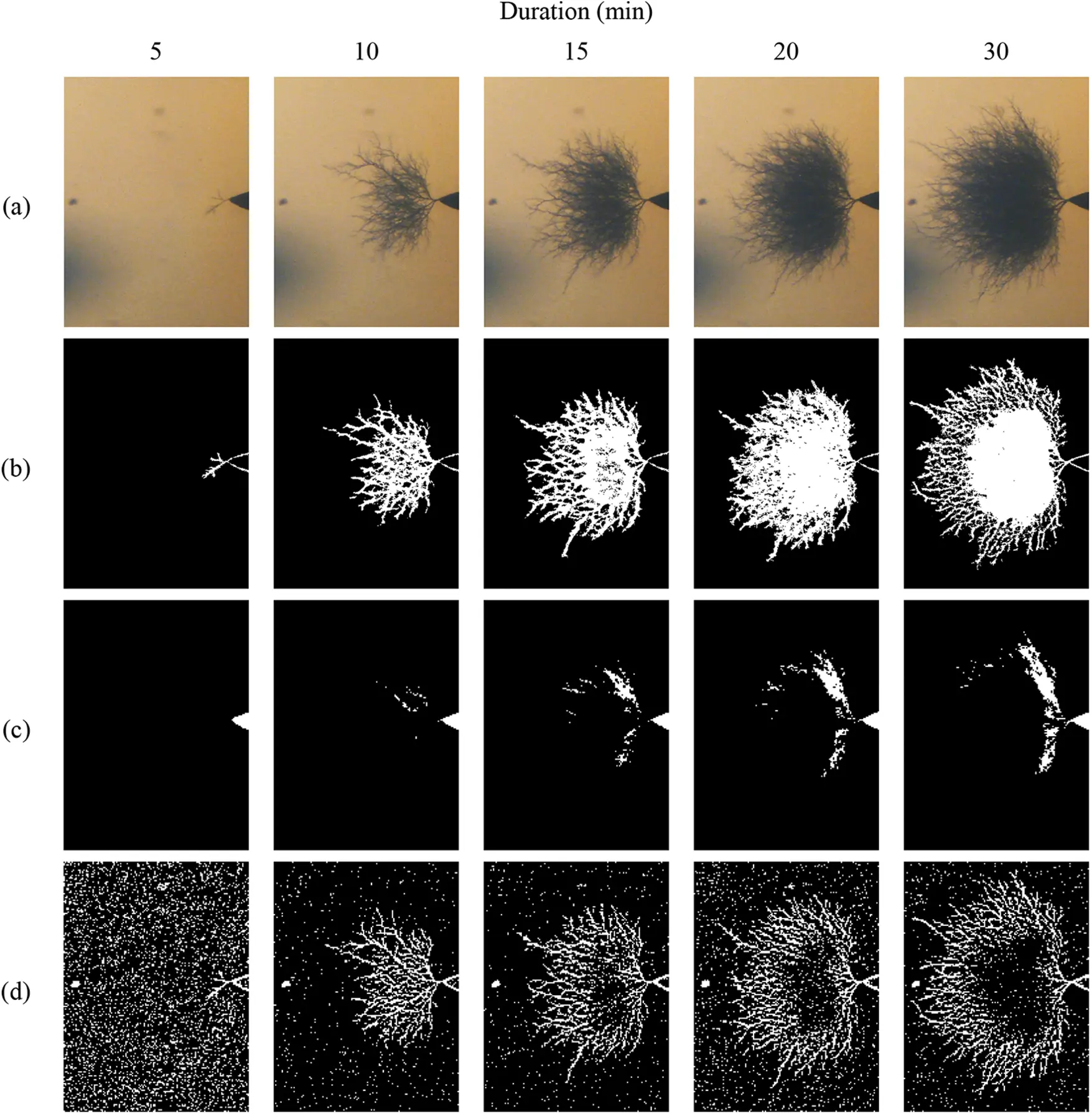 CMC | Free Full-Text | Electrical Tree Image Segmentation Using Hybrid Multi Scale Line Tracking ...