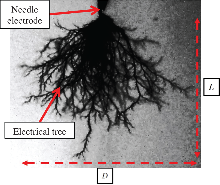 CMC | Free Full-Text | Electrical Tree Image Segmentation Using Hybrid Multi Scale Line Tracking ...
