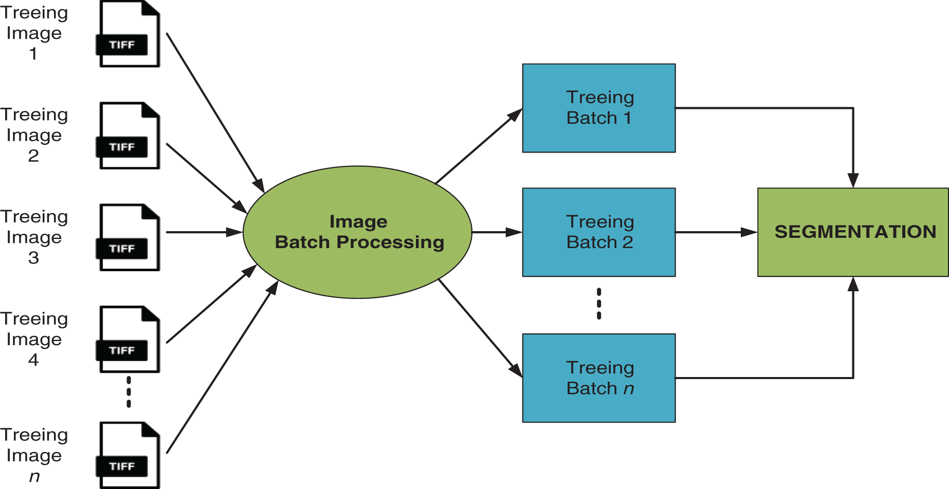 CMC | Free Full-Text | Electrical Tree Image Segmentation Using Hybrid Multi Scale Line Tracking ...