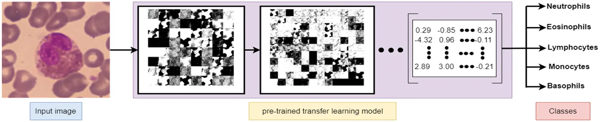 CMC | Free Full-Text | A Novel Meta-Heuristic Optimization Algorithm in White Blood Cells ...