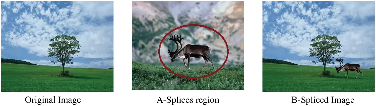Cmc Free Full Text Image Splicing Detection Using Generalized Whittaker Function Descriptor