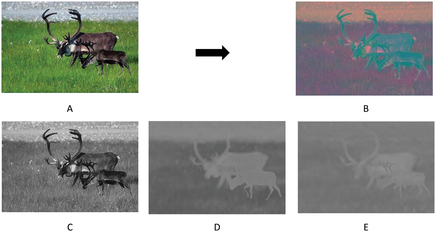 Cmc Free Full Text Image Splicing Detection Using Generalized Whittaker Function Descriptor