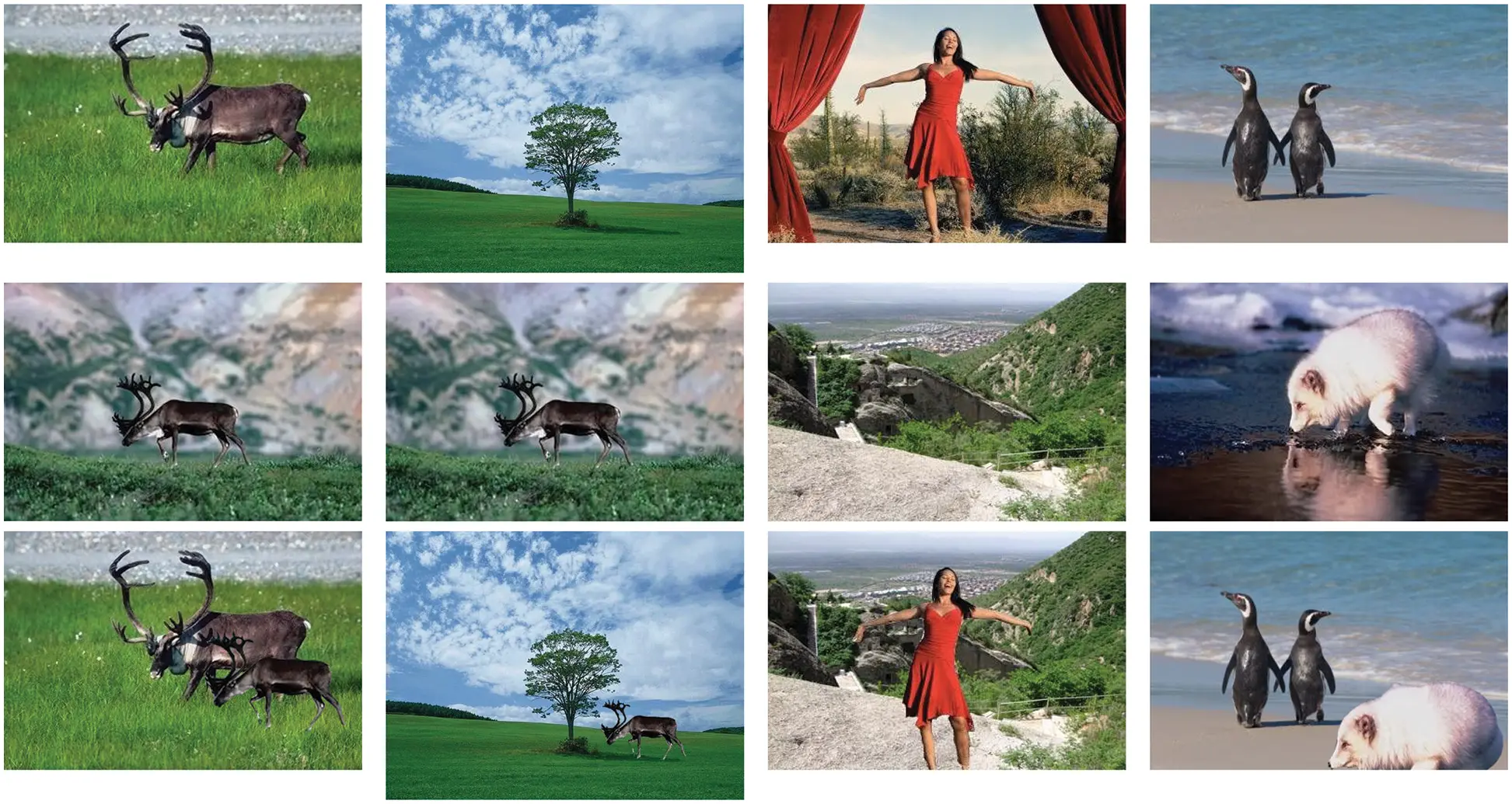 Cmc Free Full Text Image Splicing Detection Using Generalized Whittaker Function Descriptor