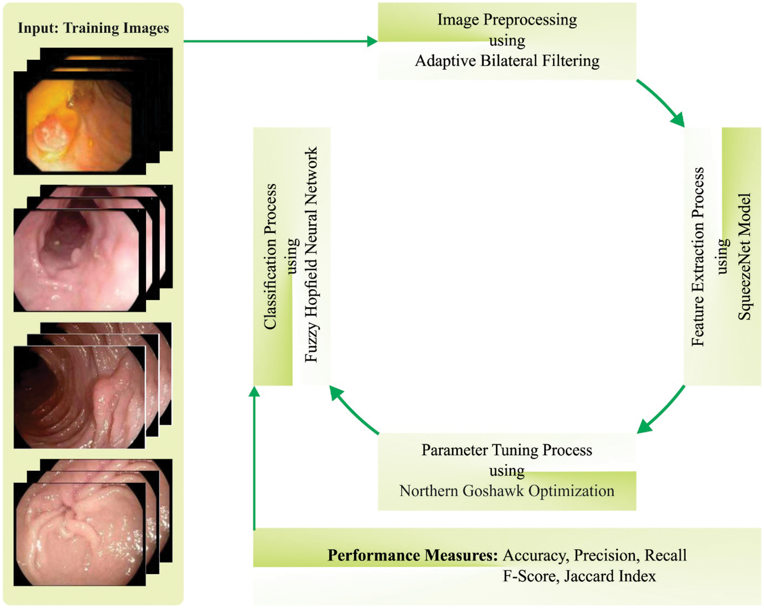 CMC | Free Full-Text | Automated Colonic Polyp Detection and Classification Enabled Northern ...