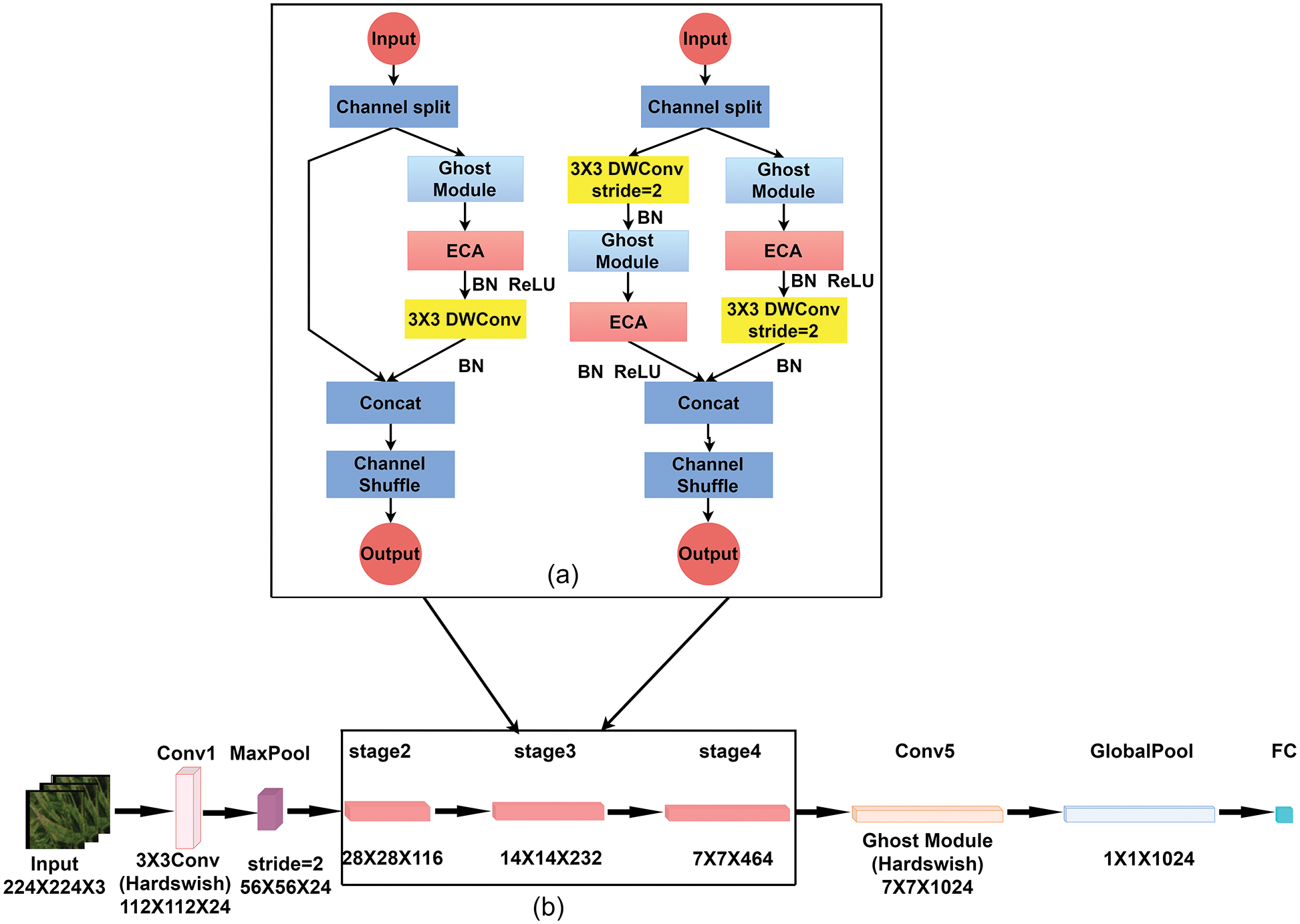 CMC | Free Full-Text | Identification of Rice Leaf Disease Using ...