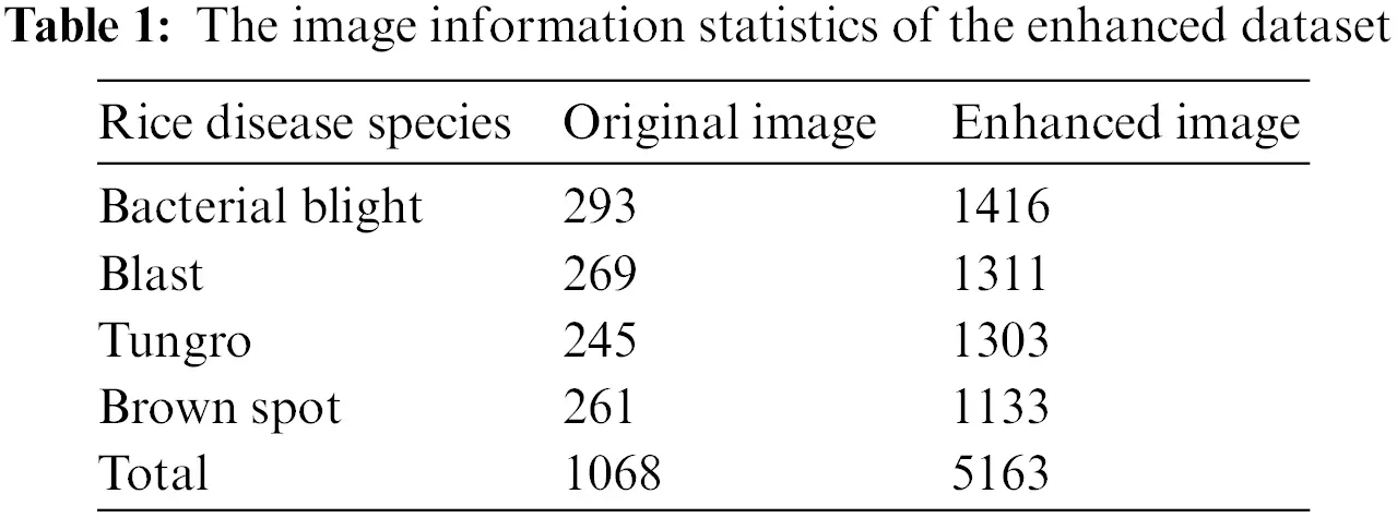CMC | Free Full-Text | Identification of Rice Leaf Disease Using ...