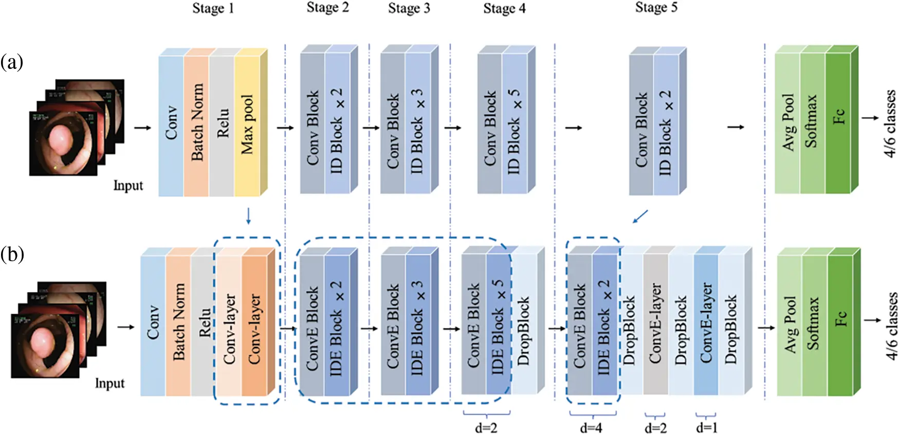 CMC | Free Full-Text | Multi-Classification of Polyps in Colonoscopy ...