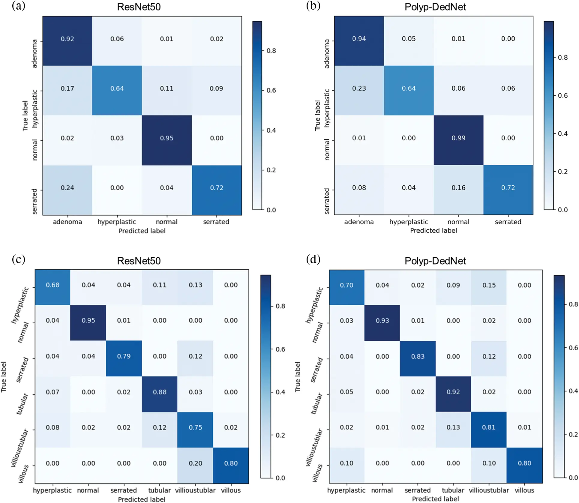 CMC | Free Full-Text | Multi-Classification of Polyps in Colonoscopy Images Based on an Improved ...