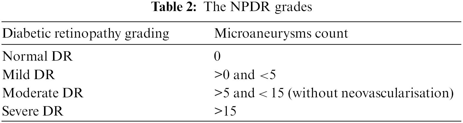 CMC | Free Full-Text | Strategy for Rapid Diabetic Retinopathy Exposure ...