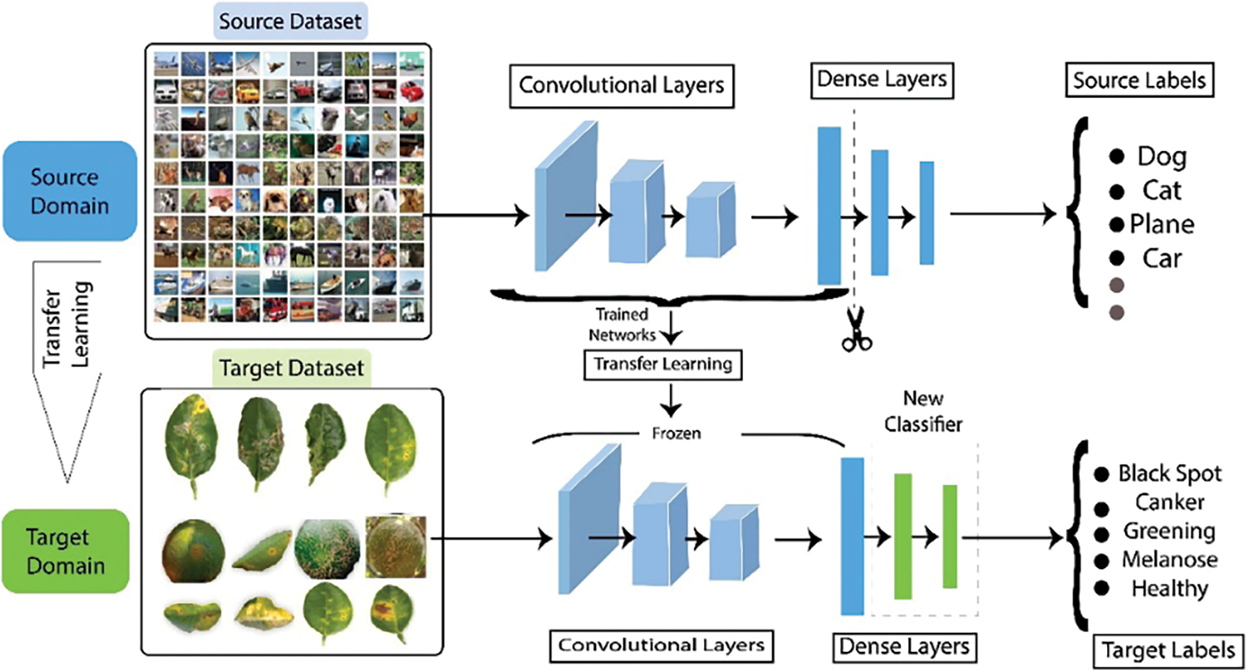 CMC | Free Full-Text | Deep Transfer Learning Based Detection and Classification of Citrus Plant ...