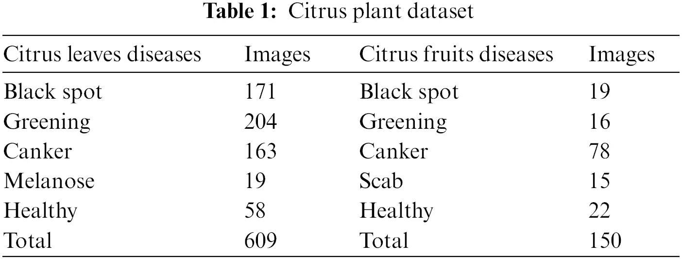 CMC | Free Full-Text | Deep Transfer Learning Based Detection and Classification of Citrus Plant ...