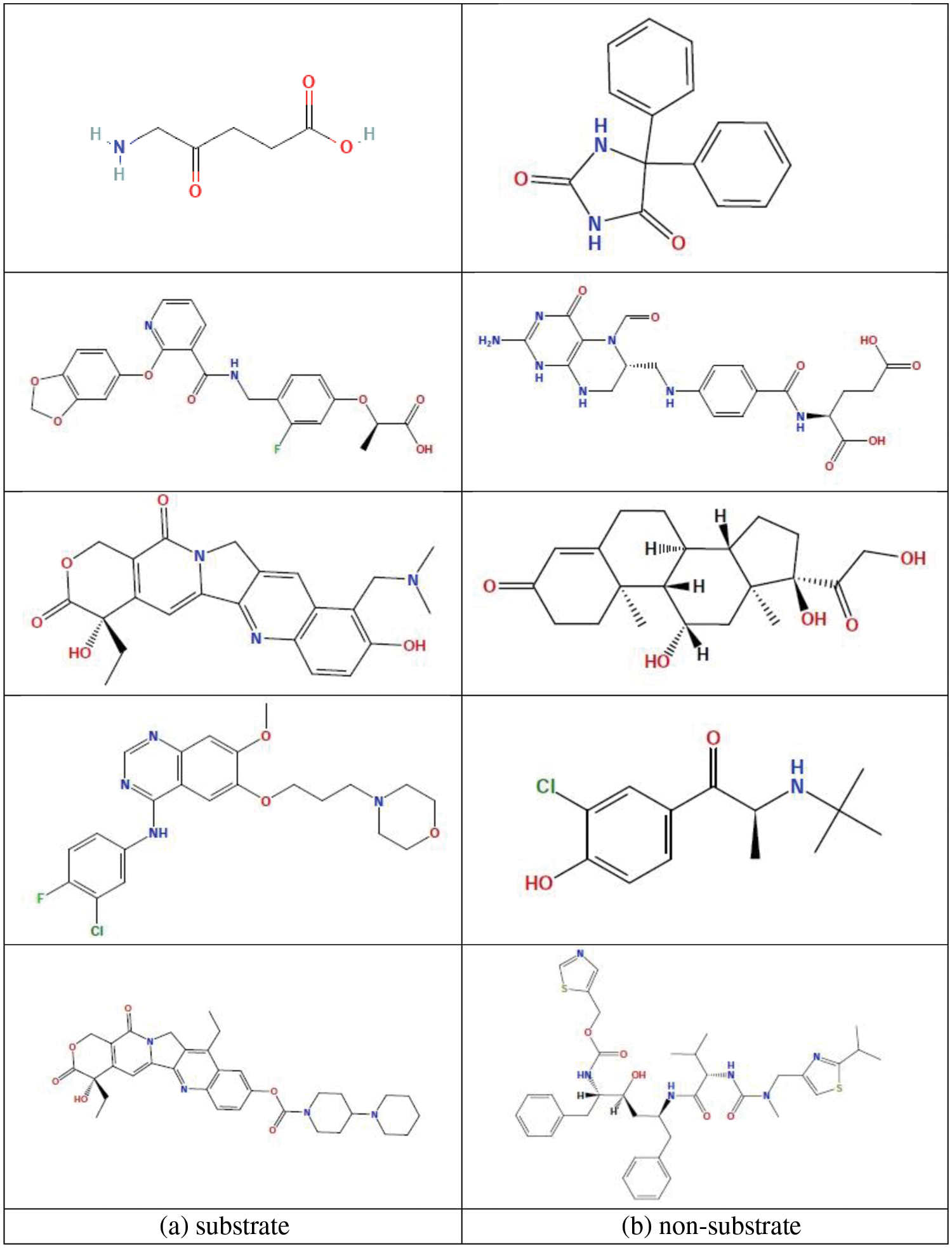 CMC | Free Full-Text | Developing a Breast Cancer Resistance Protein ...