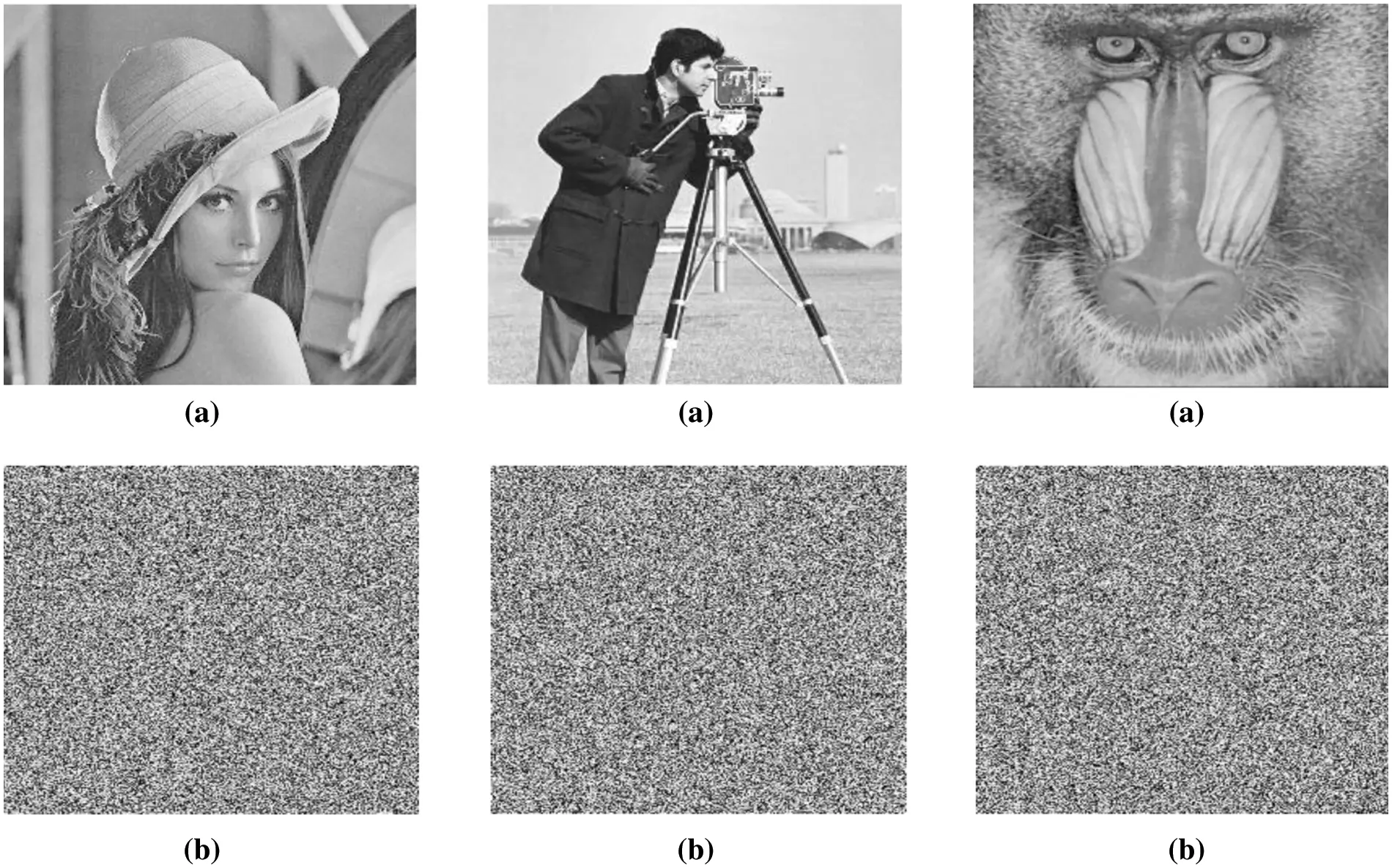 CMC | Free Full-Text | Asymmetric Key Cryptosystem for Image Encryption ...